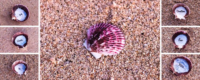 North Shore Maui Sunrise Proposal with Sea Shells | Richard + Cruz ...