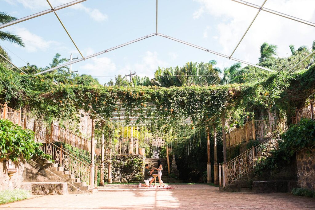 Treehouse Restaurant Proposal | Kevin + Melissa - Engaged on Maui ...